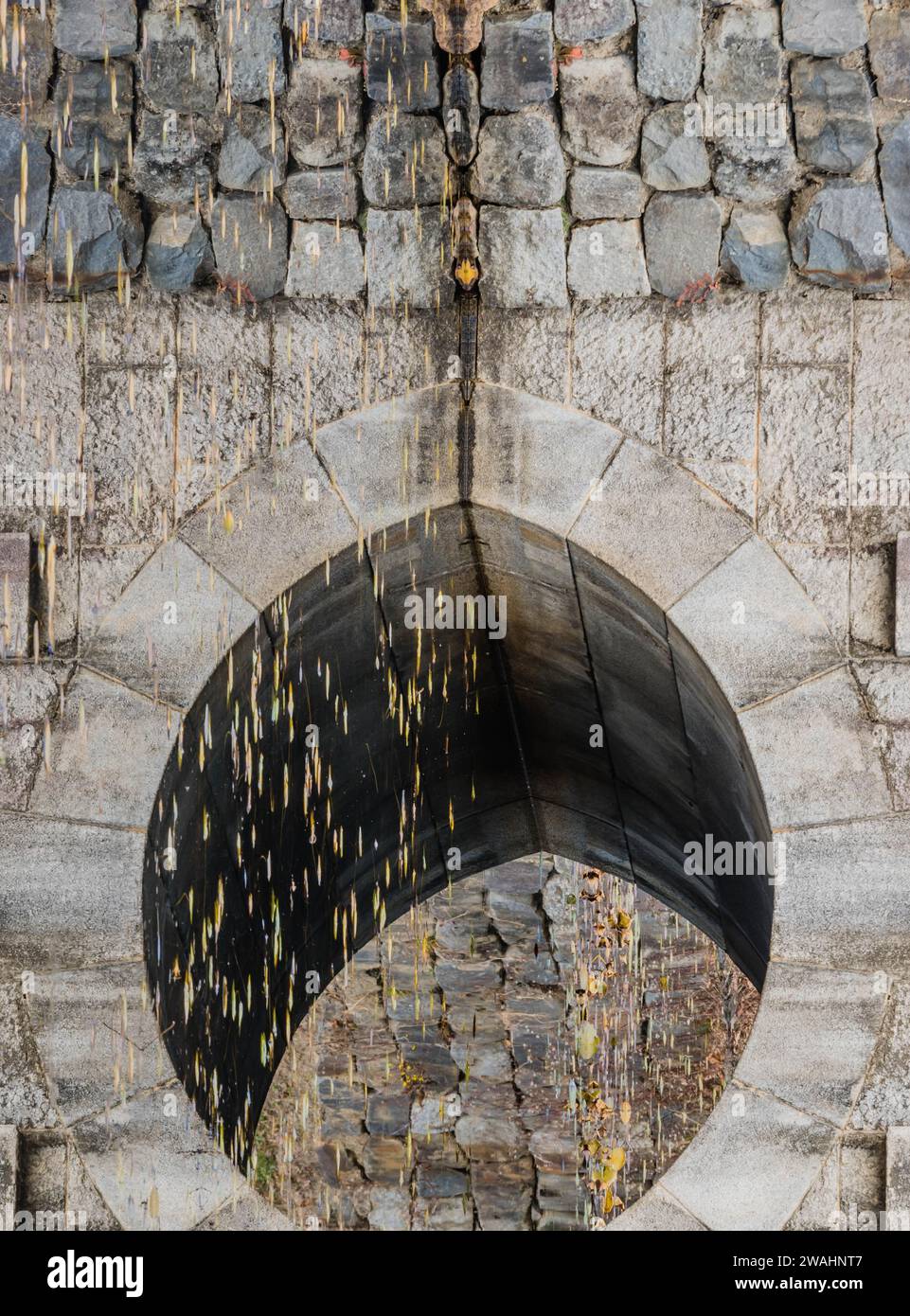 Abstract of water through tunnel of ached bridge in public park Stock ...