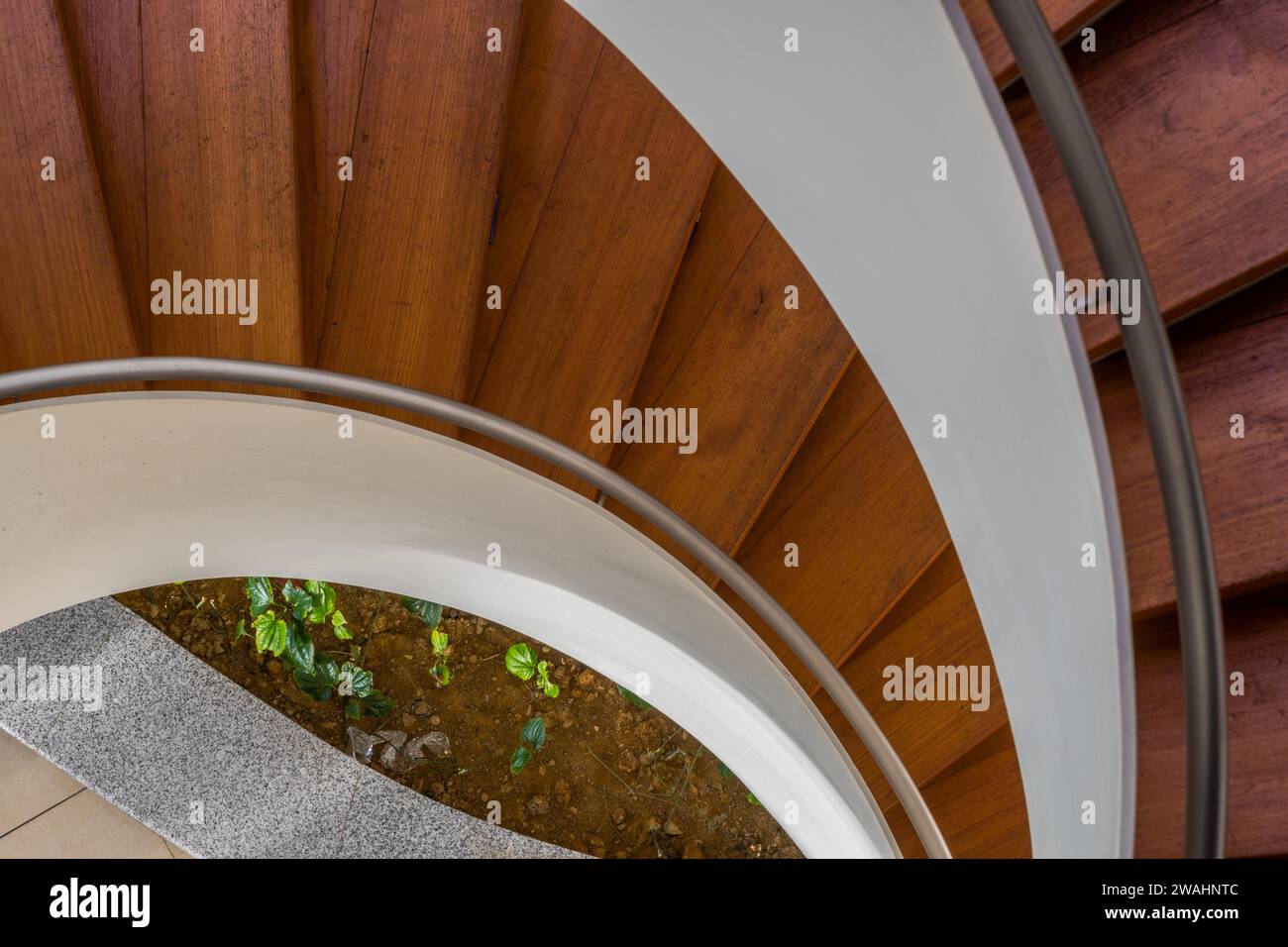 Top down view of wooden spiral staircase with plants growing in soil on ...
