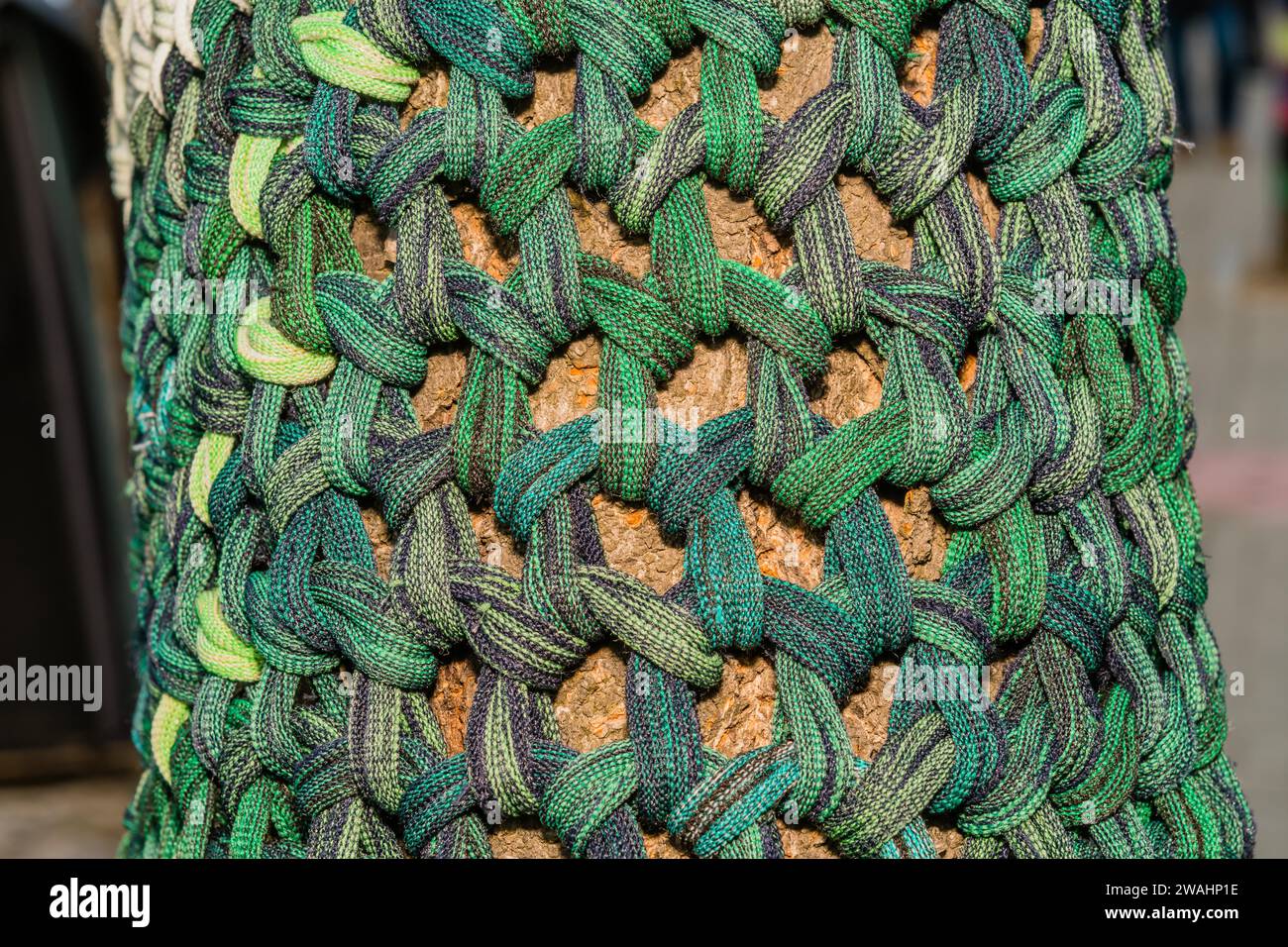 Green yarn tied in loops around tree with blurred background Stock ...