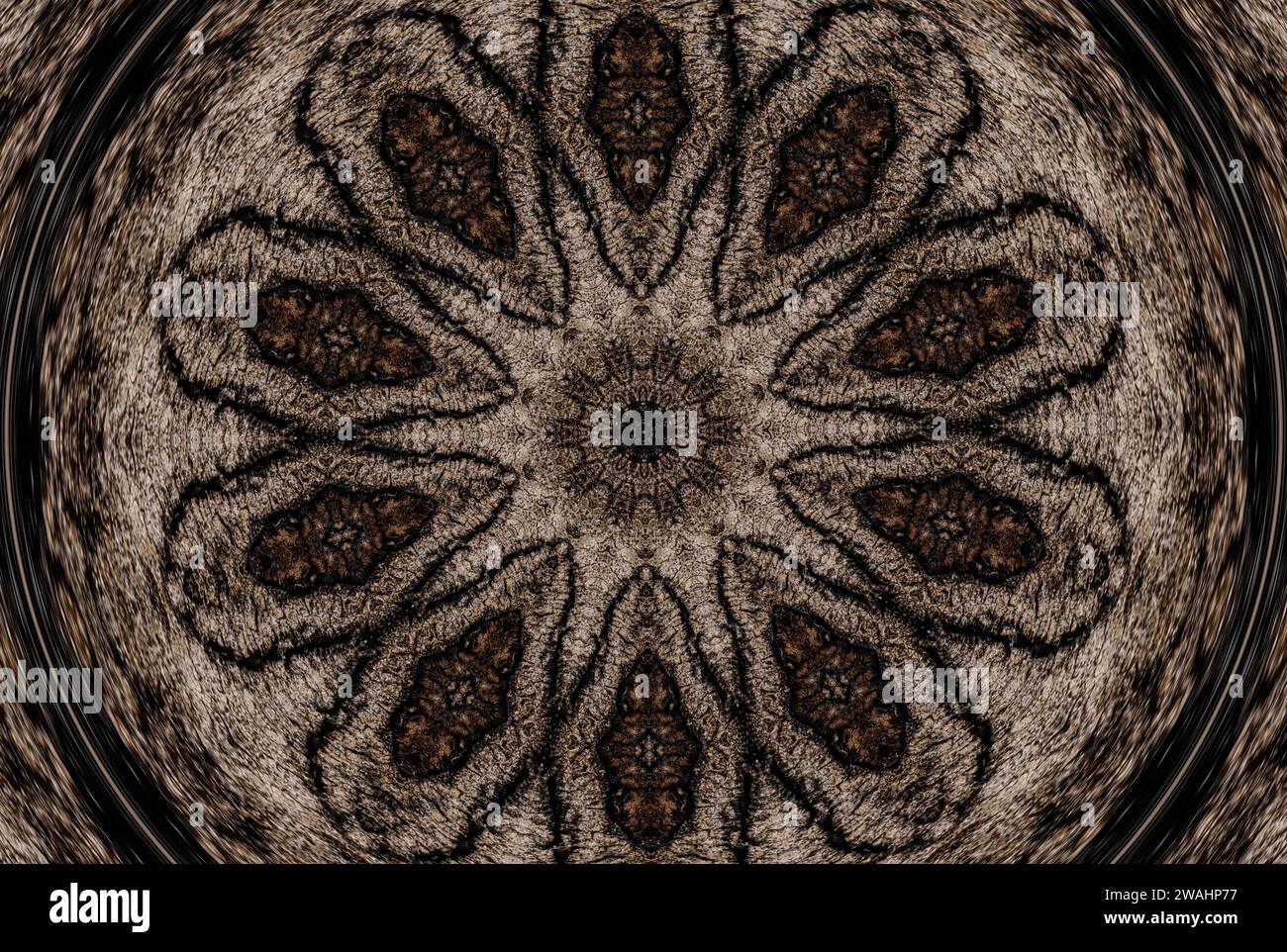 Abstract circular pattern made from distorting photo of side of tree ...