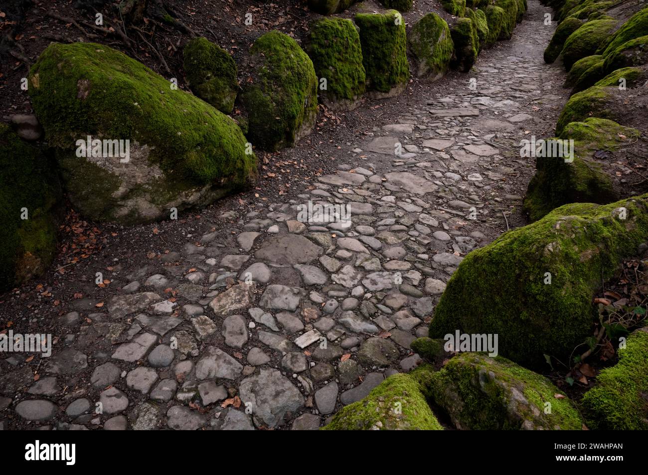Drama nature hi-res stock photography and images - Alamy