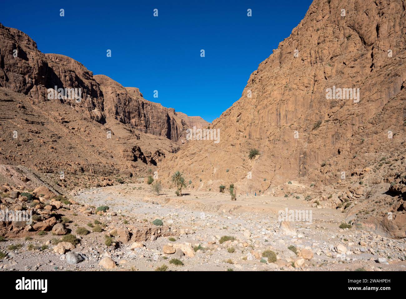 Todra Gorge or Gorges du Toudra, near Tinghir, Morocco Stock Photo - Alamy