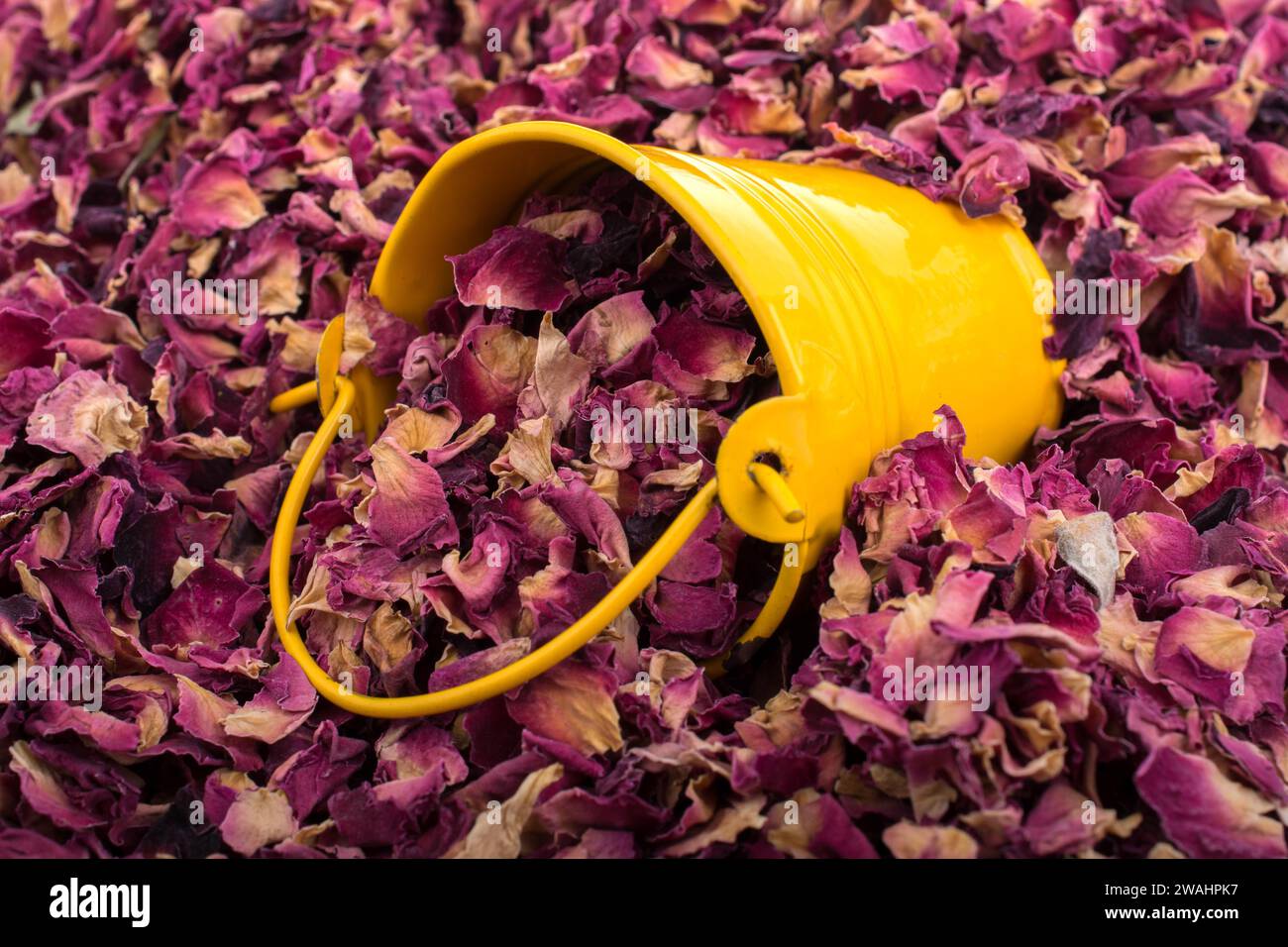 Little bucket on a background of dried rose petals Stock Photo - Alamy