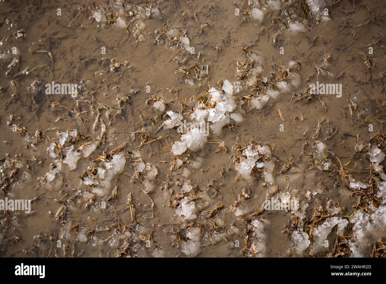 Muddy surface hi-res stock photography and images - Alamy