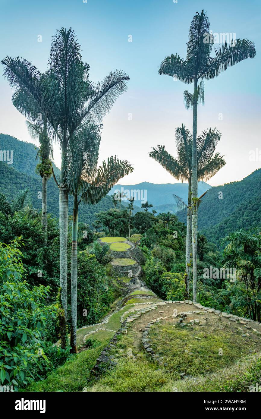 Hidden ancient ruins of Tayrona civilization Ciudad Perdida in the ...