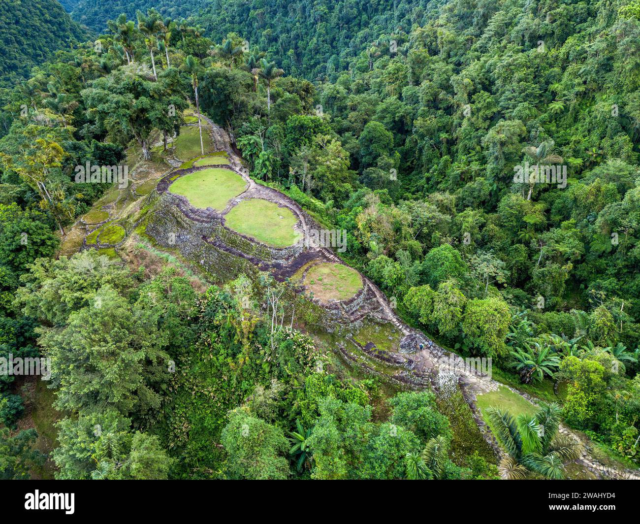Hidden ancient ruins of Tayrona civilization Ciudad Perdida in the ...
