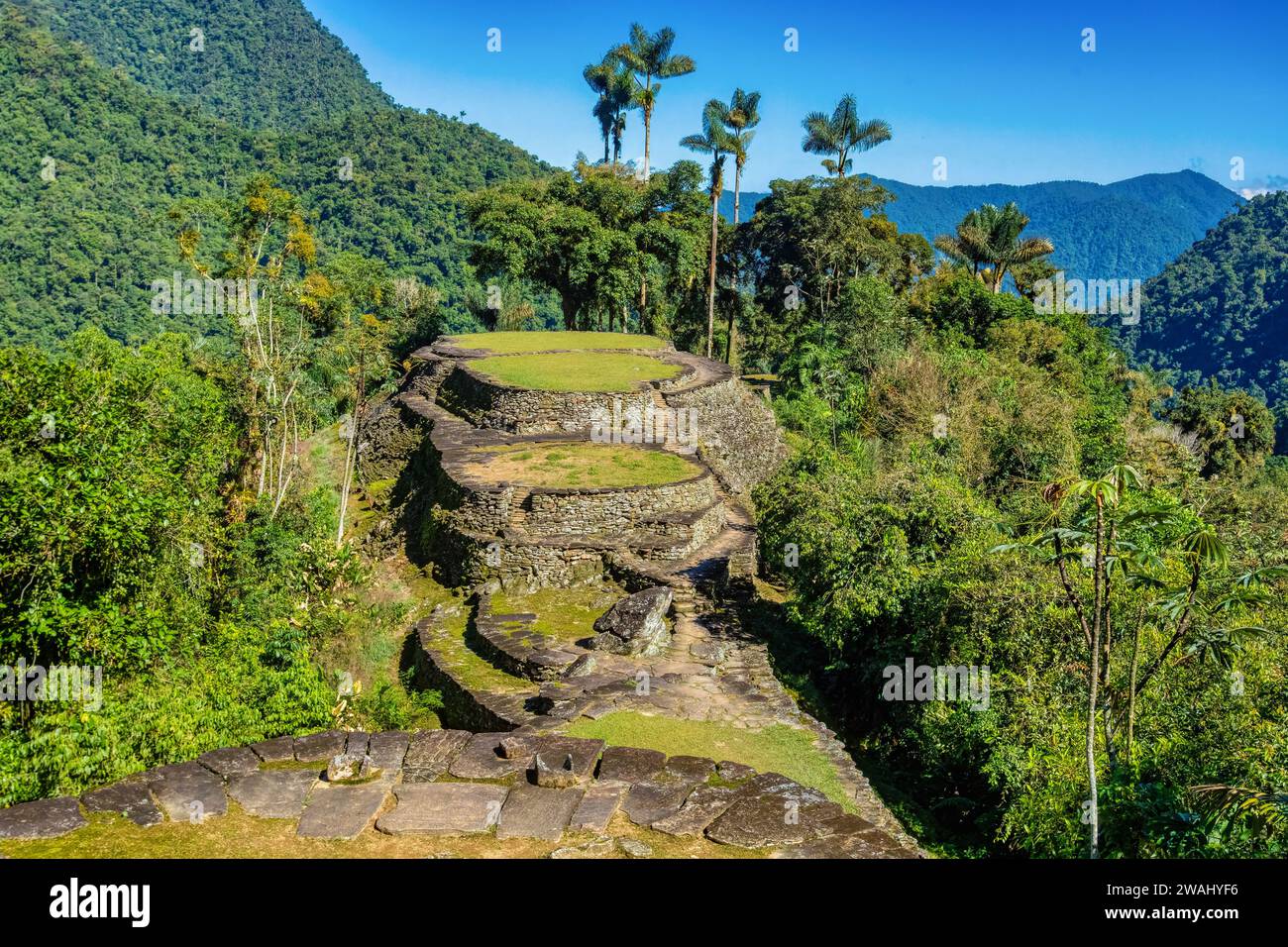 Hidden ancient ruins of Tayrona civilization Ciudad Perdida in the ...