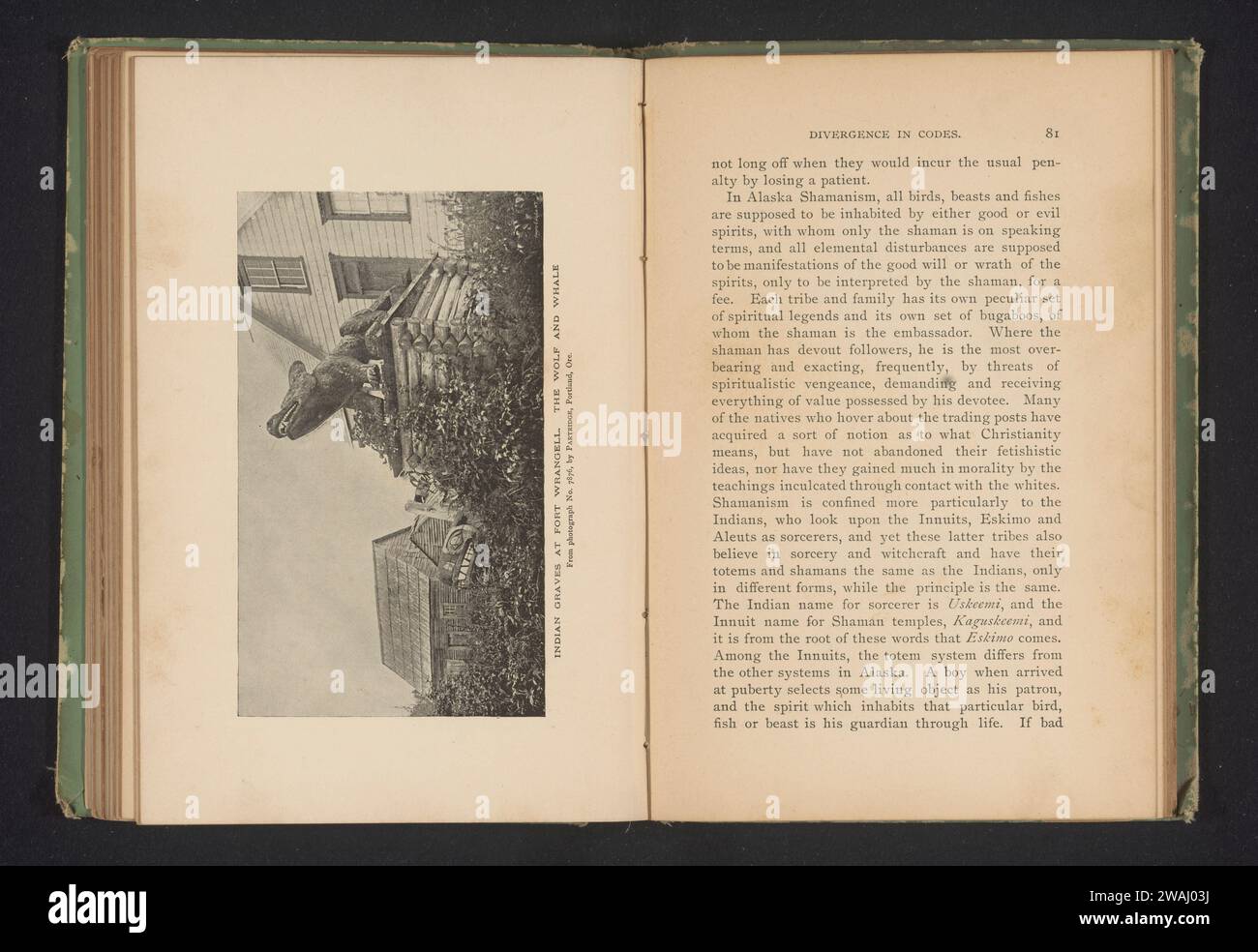 Tlingit-digging at Fort wrangell: the wolf and the walvis, William ...