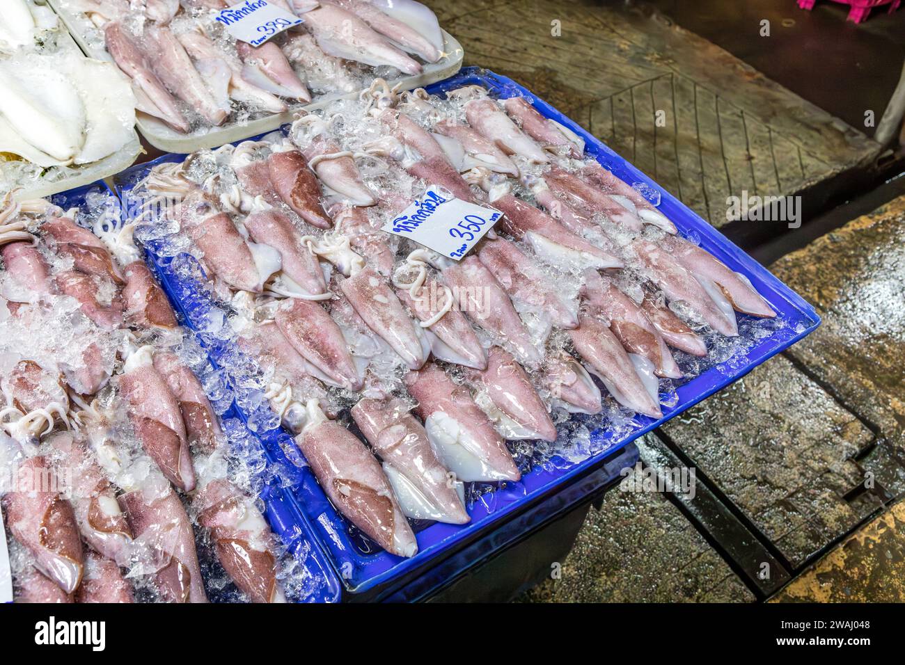 A blue plastic box of fresh squid in ice in Mae Klong Fresh Market ...