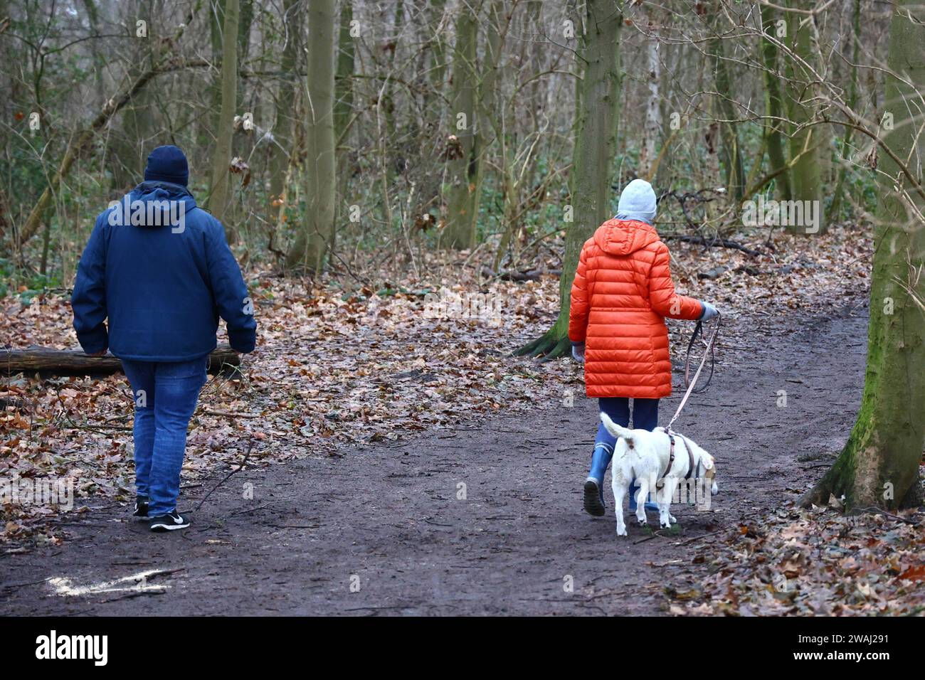 Rentner Ehepaar beim Gassi gehen mit Hund *** Retired couple walking ...