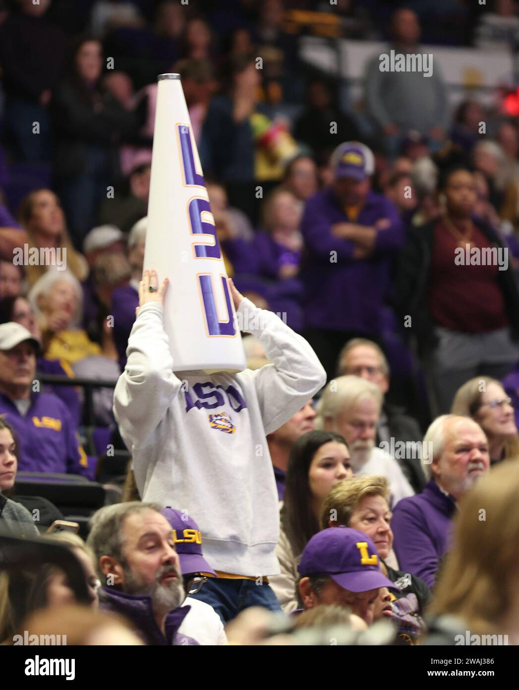Baton Rouge, USA. 04th Jan, 2024. A LSU Lady Tigers fan dances in the ...