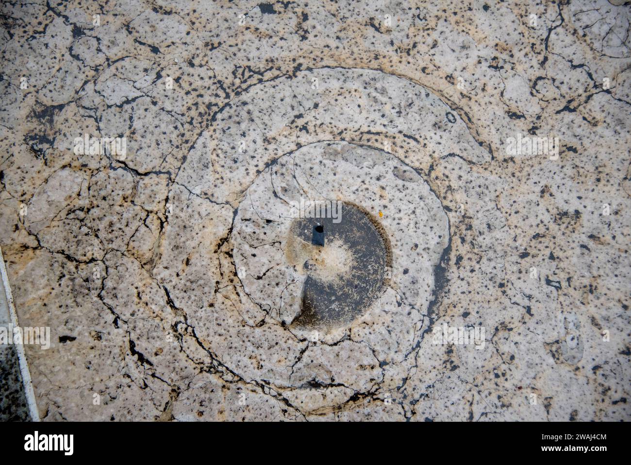 Ammonite fossils hi-res stock photography and images - Alamy