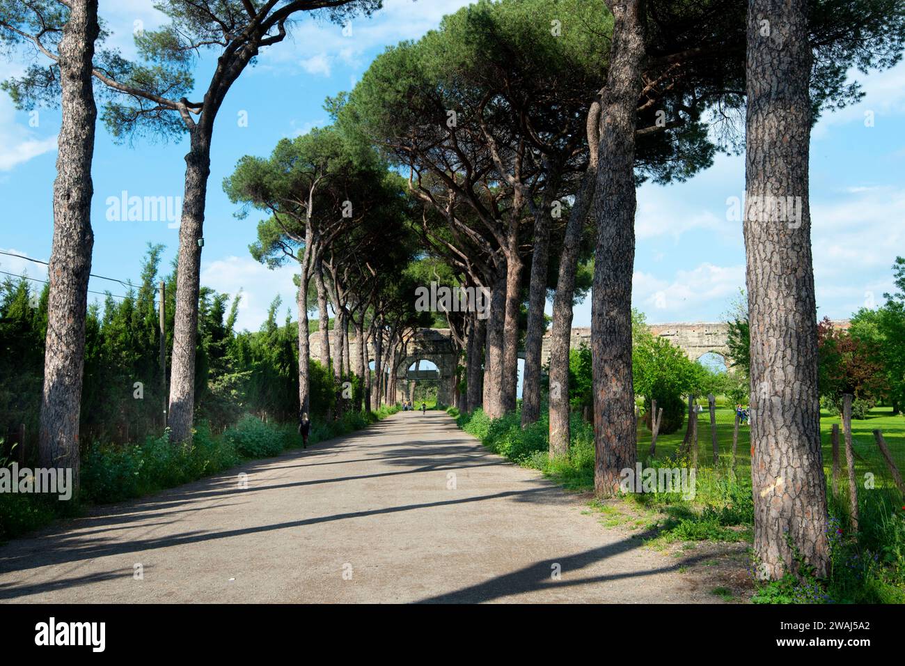 Park of the Aqueducts - Rome - Italy Stock Photo - Alamy