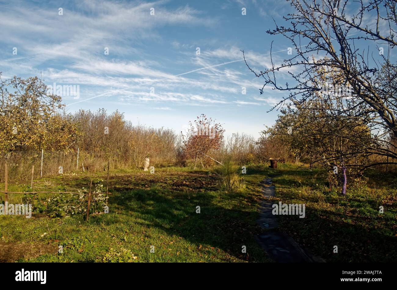 Beautiful old apple orchard hi-res stock photography and images - Alamy