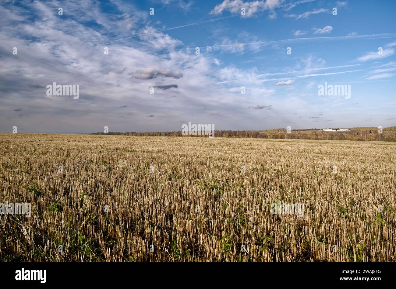 Clear cut farming hi-res stock photography and images - Alamy