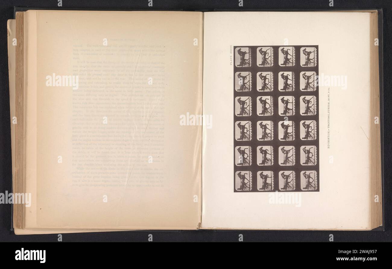 Eadweard muybridge horse 1878 hi-res stock photography and images - Alamy