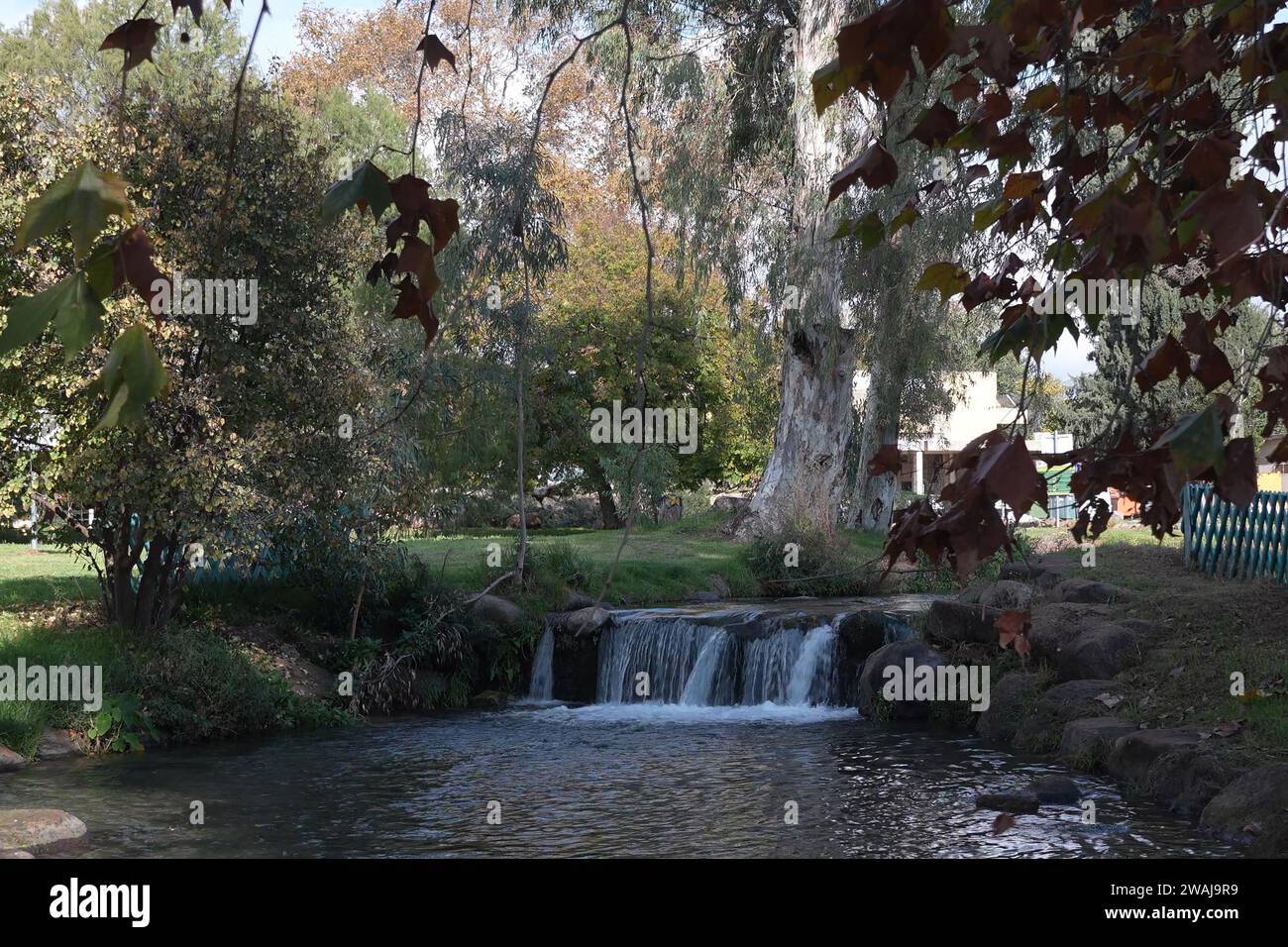 Stream of the river Dan flows through Kibbutz Dafna which is situated ...