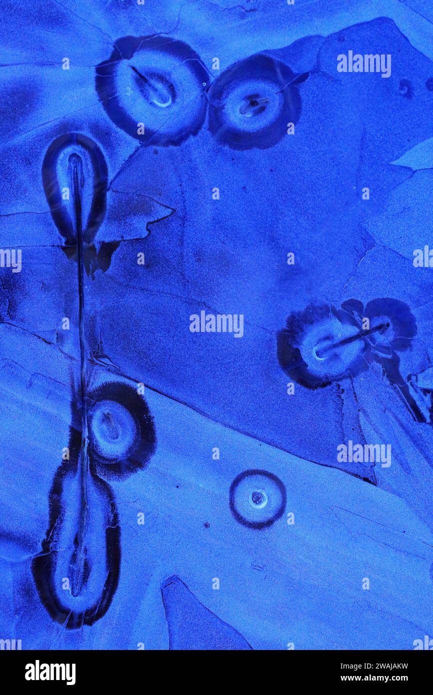 Circular microscopic structures hi-res stock photography and images - Alamy