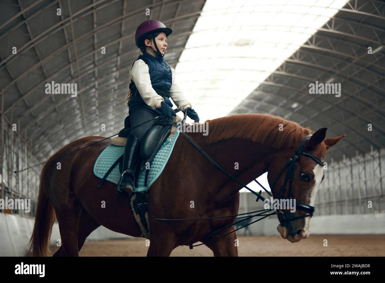 Little girl, kid, equestrian sitting in special uniform and helmet on ...