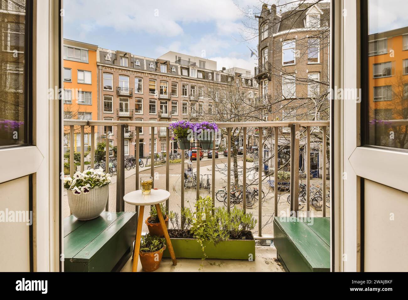 Various plants with wooden benches in private balcony overlooking ...