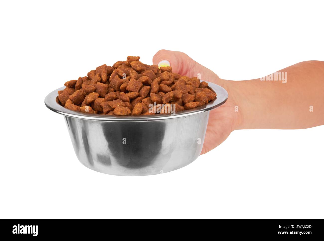 Bowl with animal food in hand on white background Stock Photo - Alamy