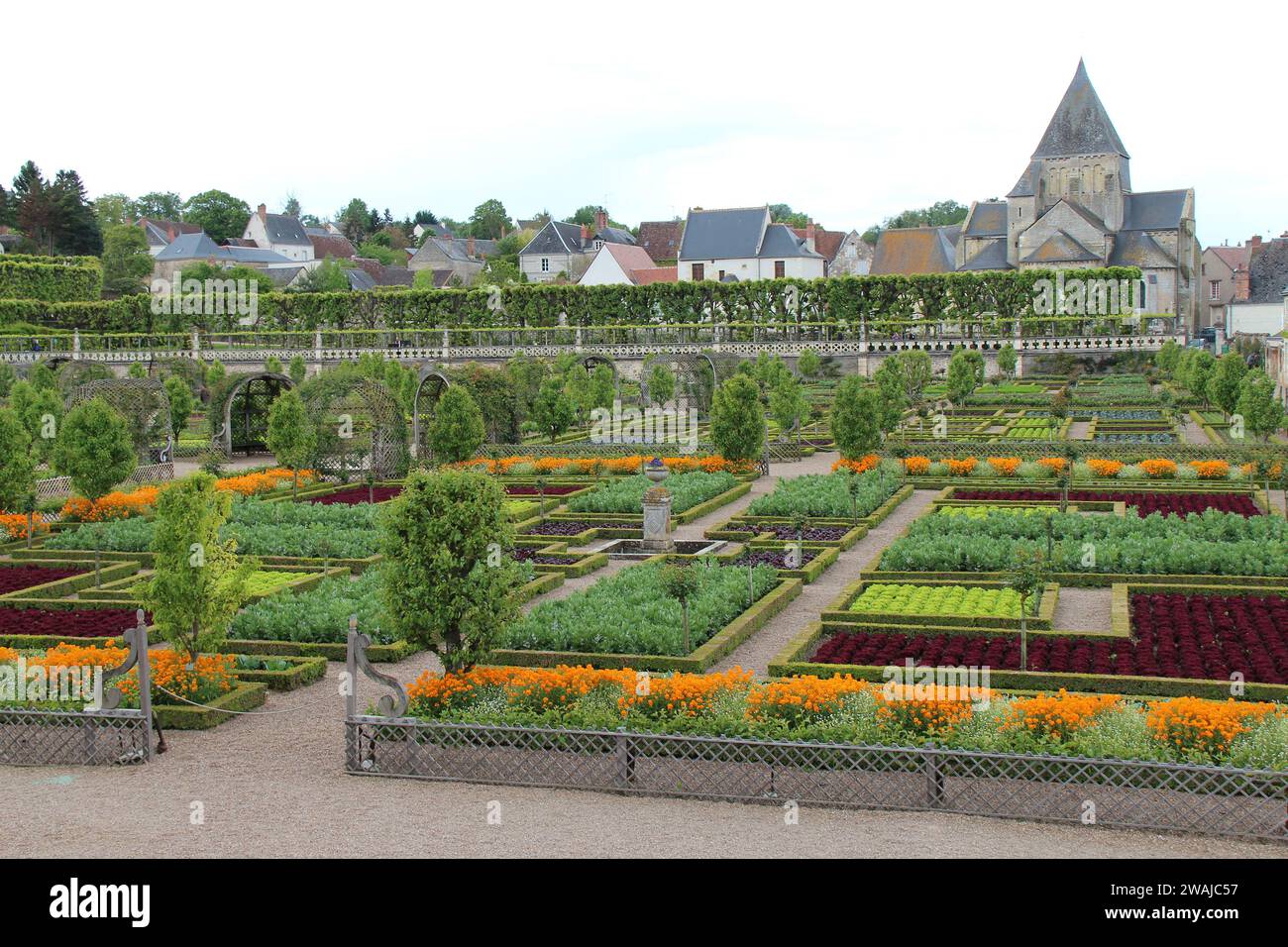 vegetable garden at the castle of villandry in france Stock Photo - Alamy