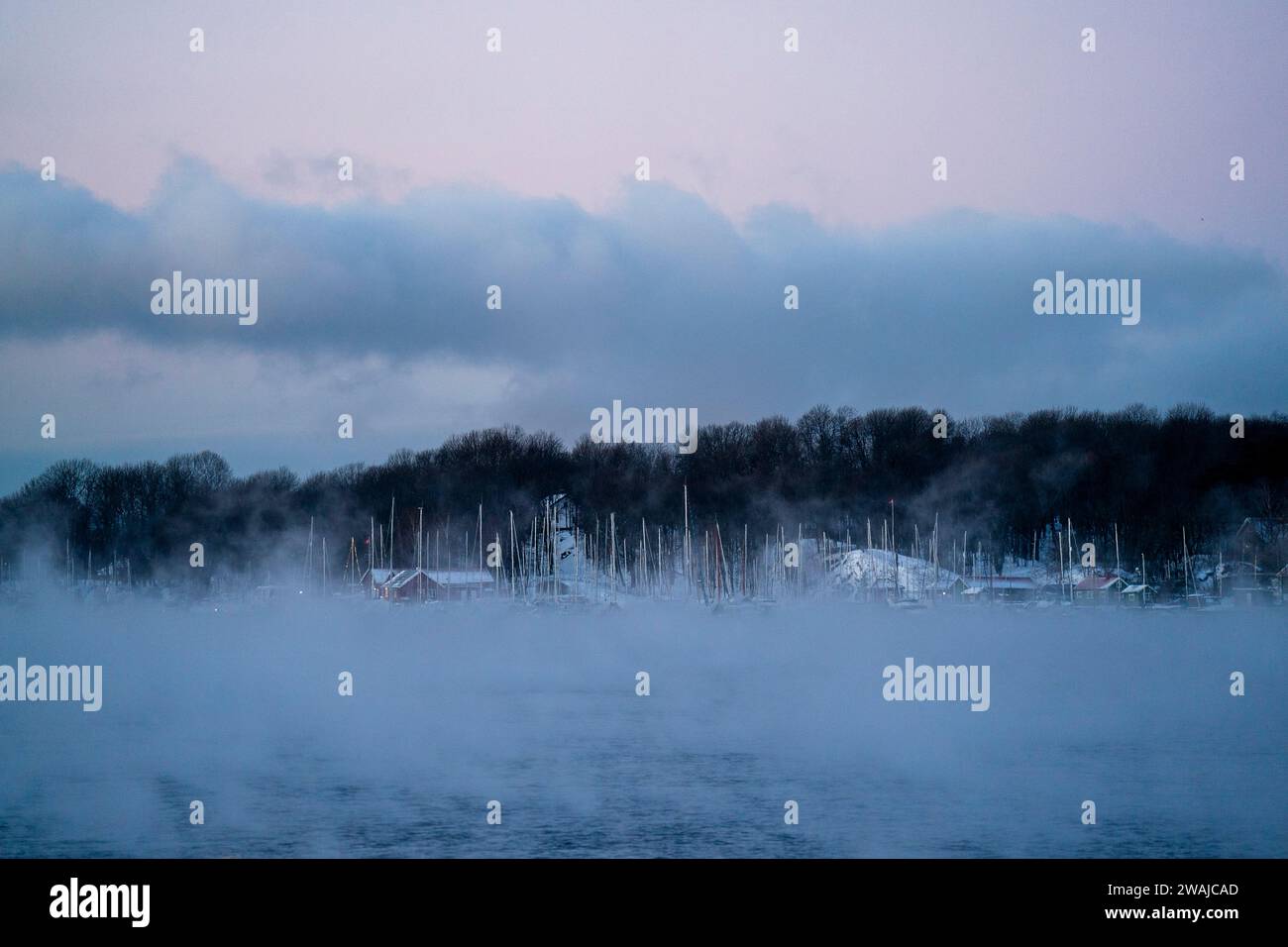 Oslo 20240105.Boats are moored on Hovedoya in the Oslofjord. The ...