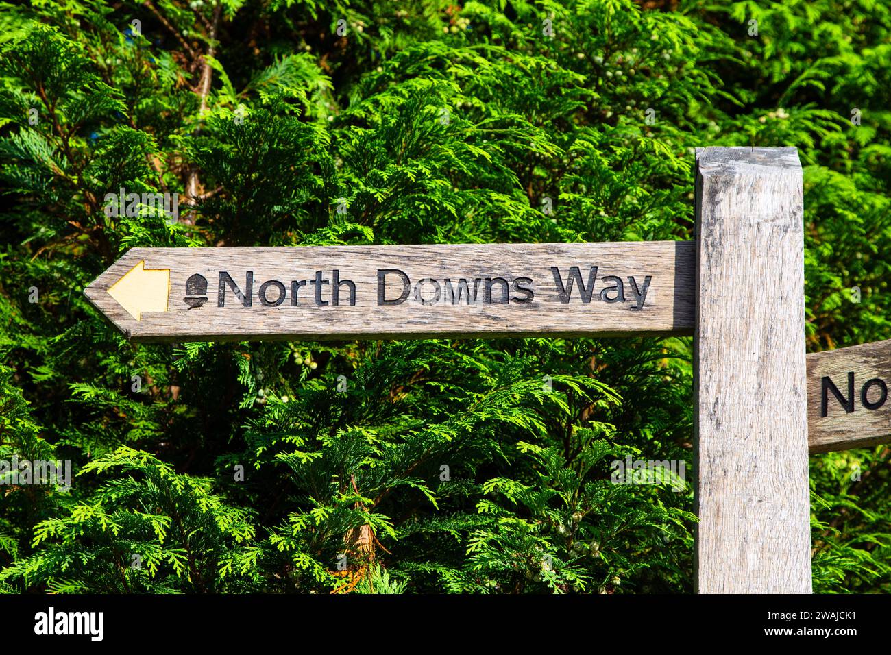 North Downs Way direction sign with green bushes in background in ...