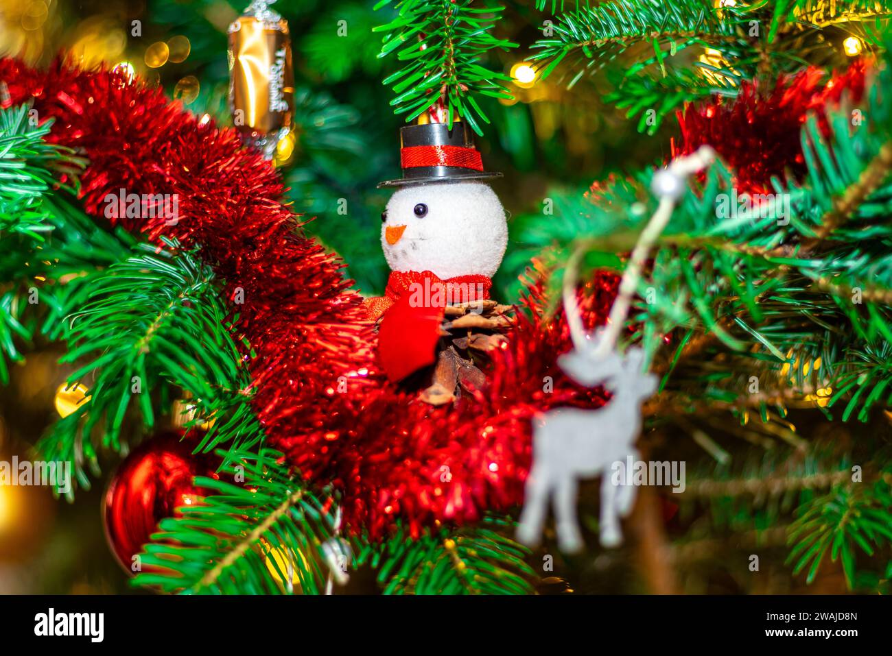 Christmas tree branch hi-res stock photography and images - Alamy