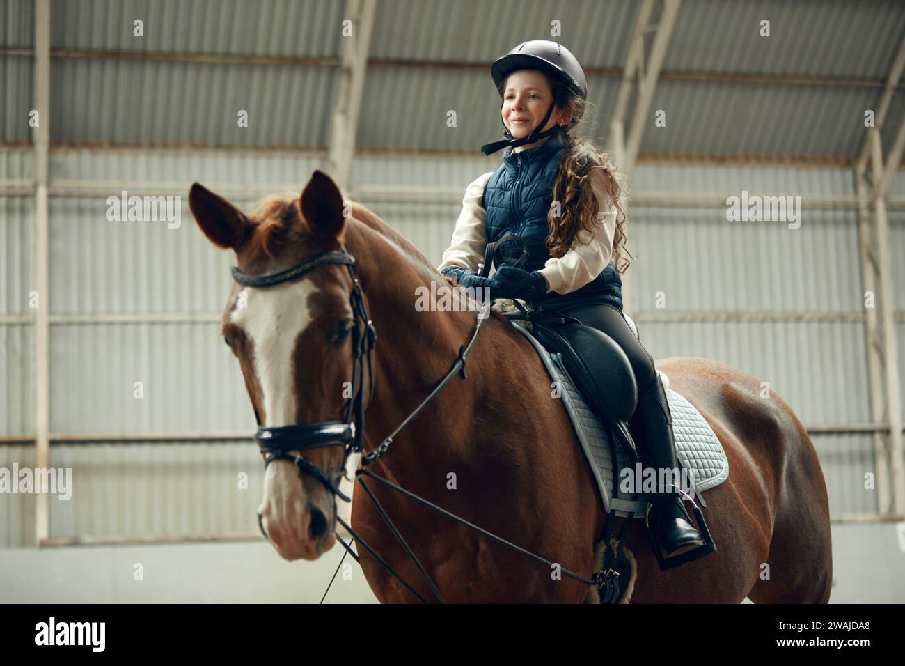 Little girl, kid, equestrian sitting in special uniform and helmet on ...
