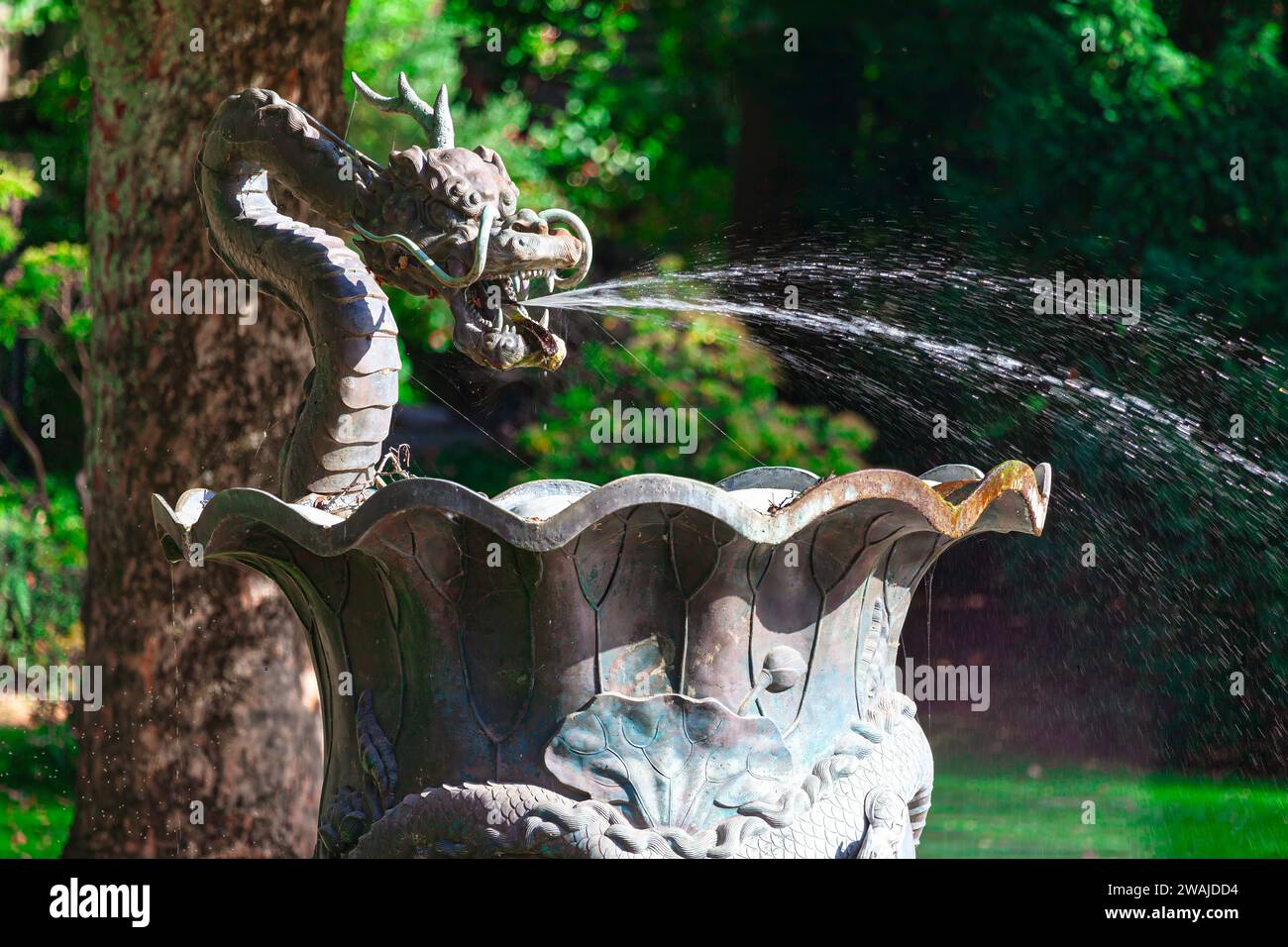 Chinese dragon fountain with splashing water in the public park Stock ...