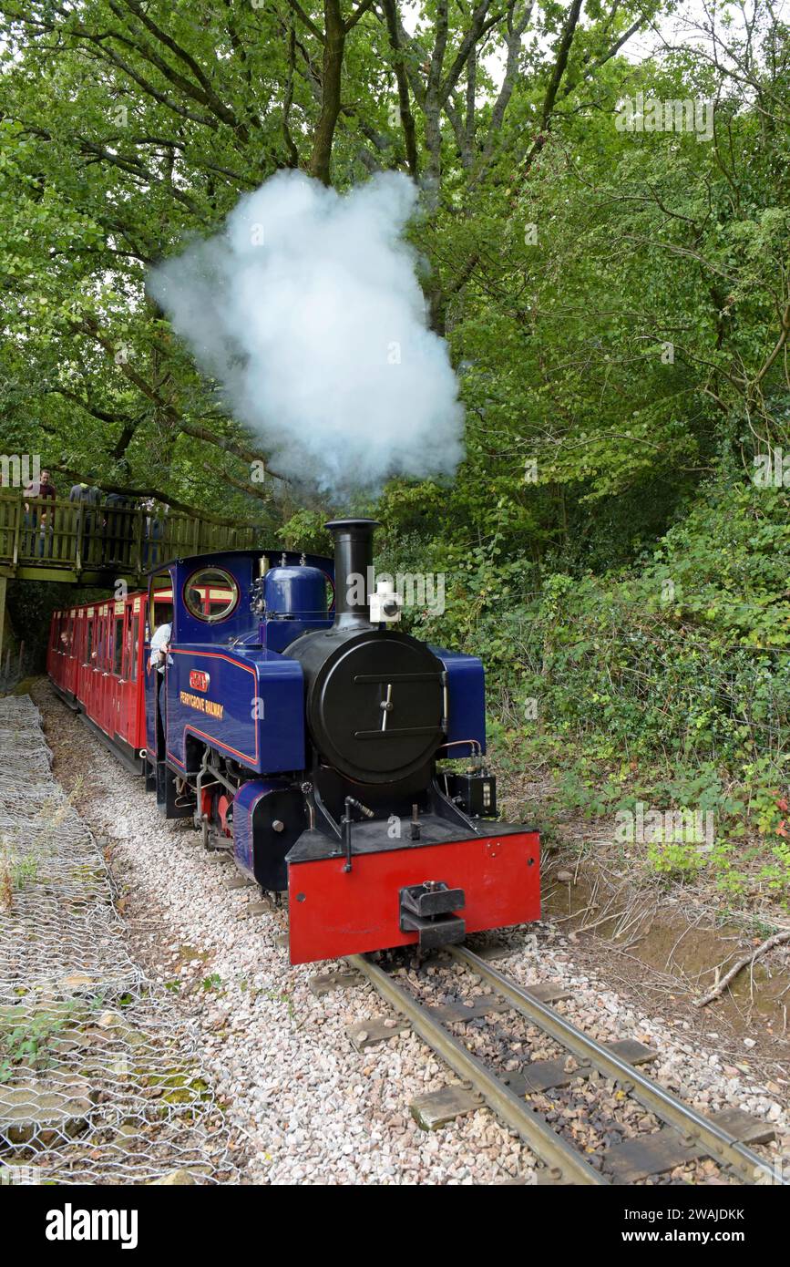 Steam locomotive Lydia with a passenger train at the Perrygrove narrow ...