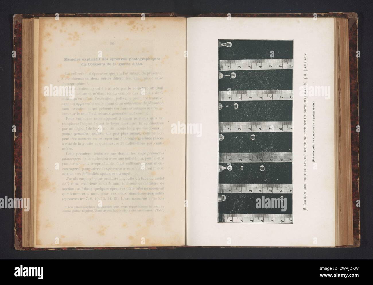 Different phases of a falling drop, Charles Lansiaux, c. 1890 - in or ...