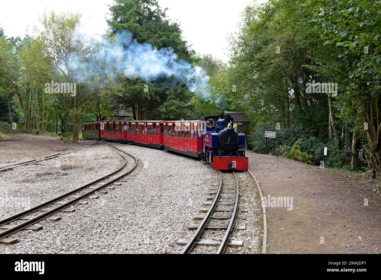 Steam locomotive Lydia with a passenger train at the Perrygrove narrow ...