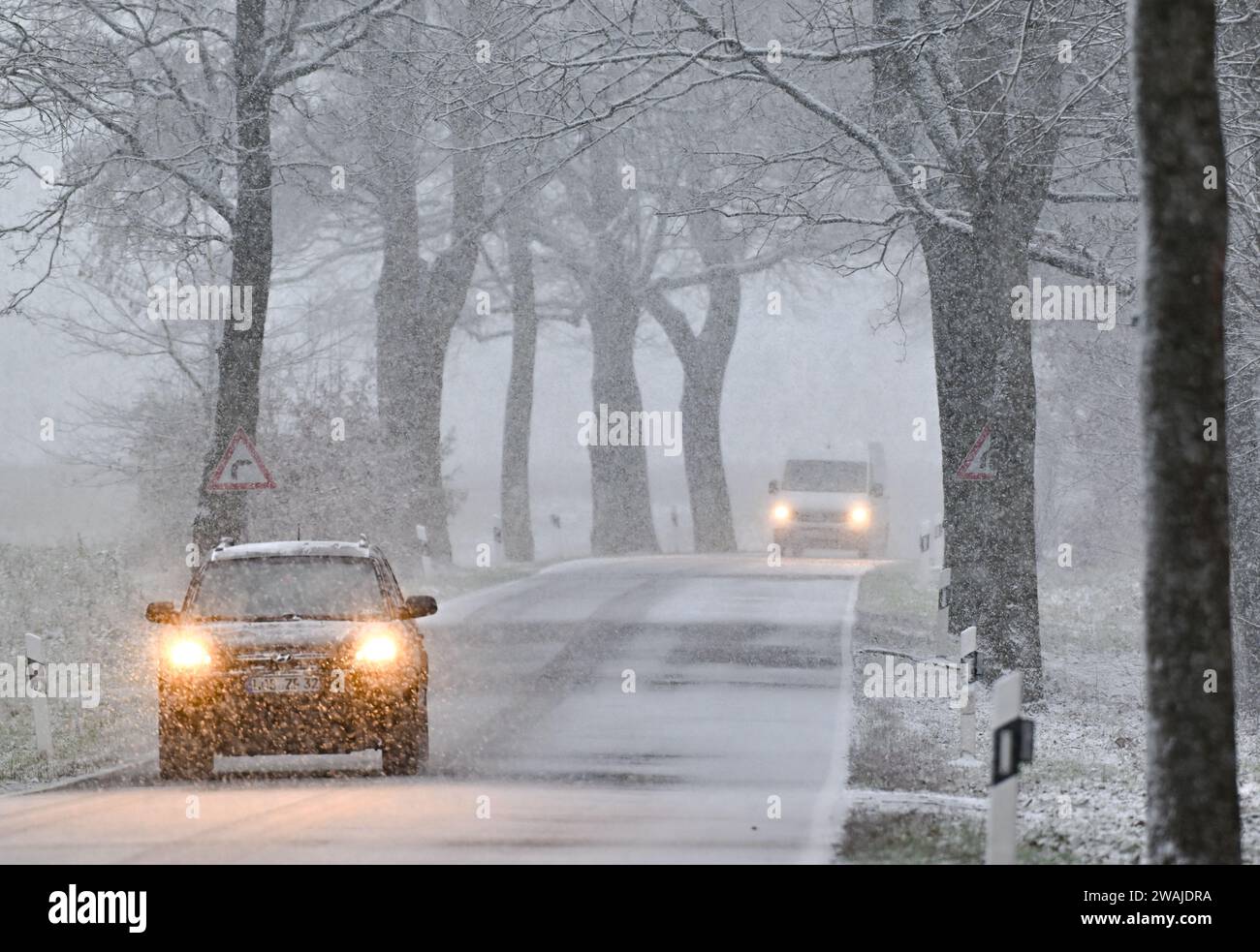 Treplin, Germany. 05th Jan, 2024. Cars drive along an avenue in dense ...