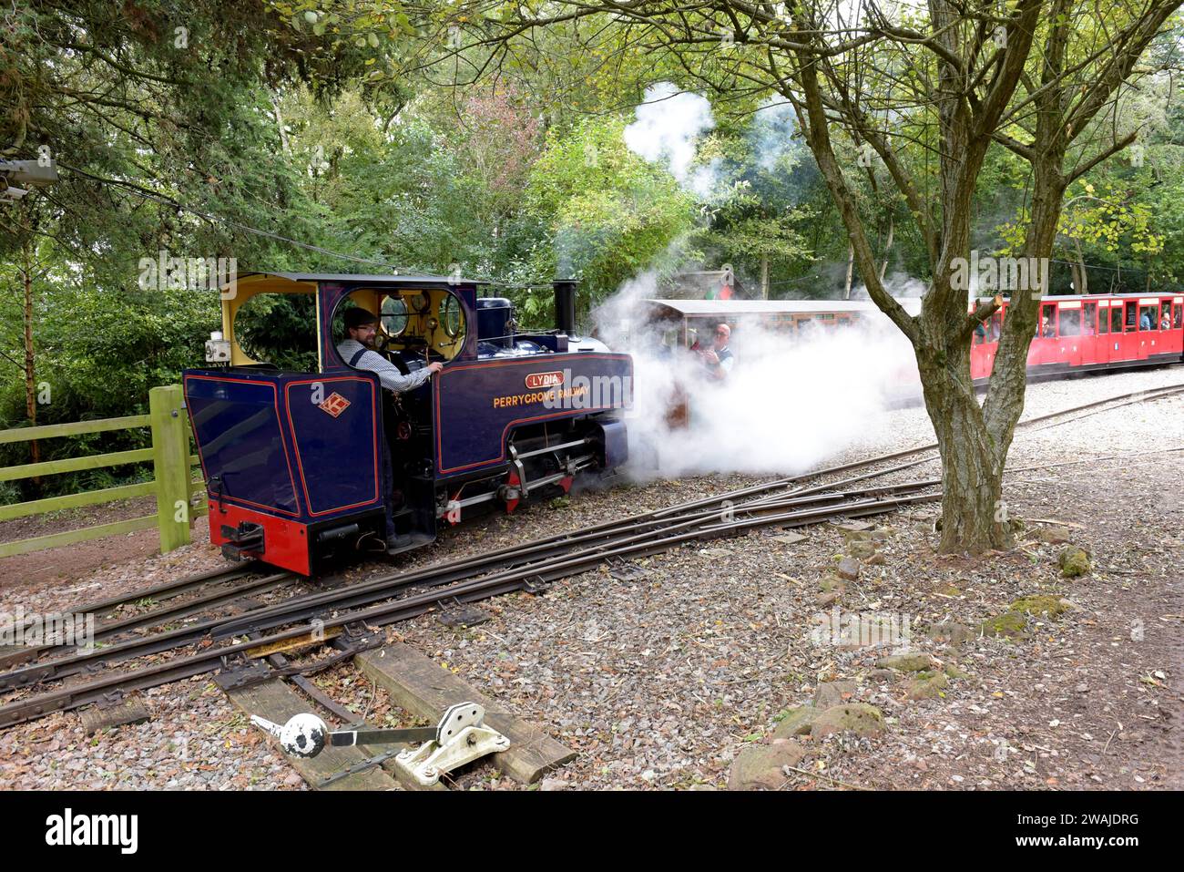 Steam locomotive Lydia with a passenger train at the Perrygrove narrow ...