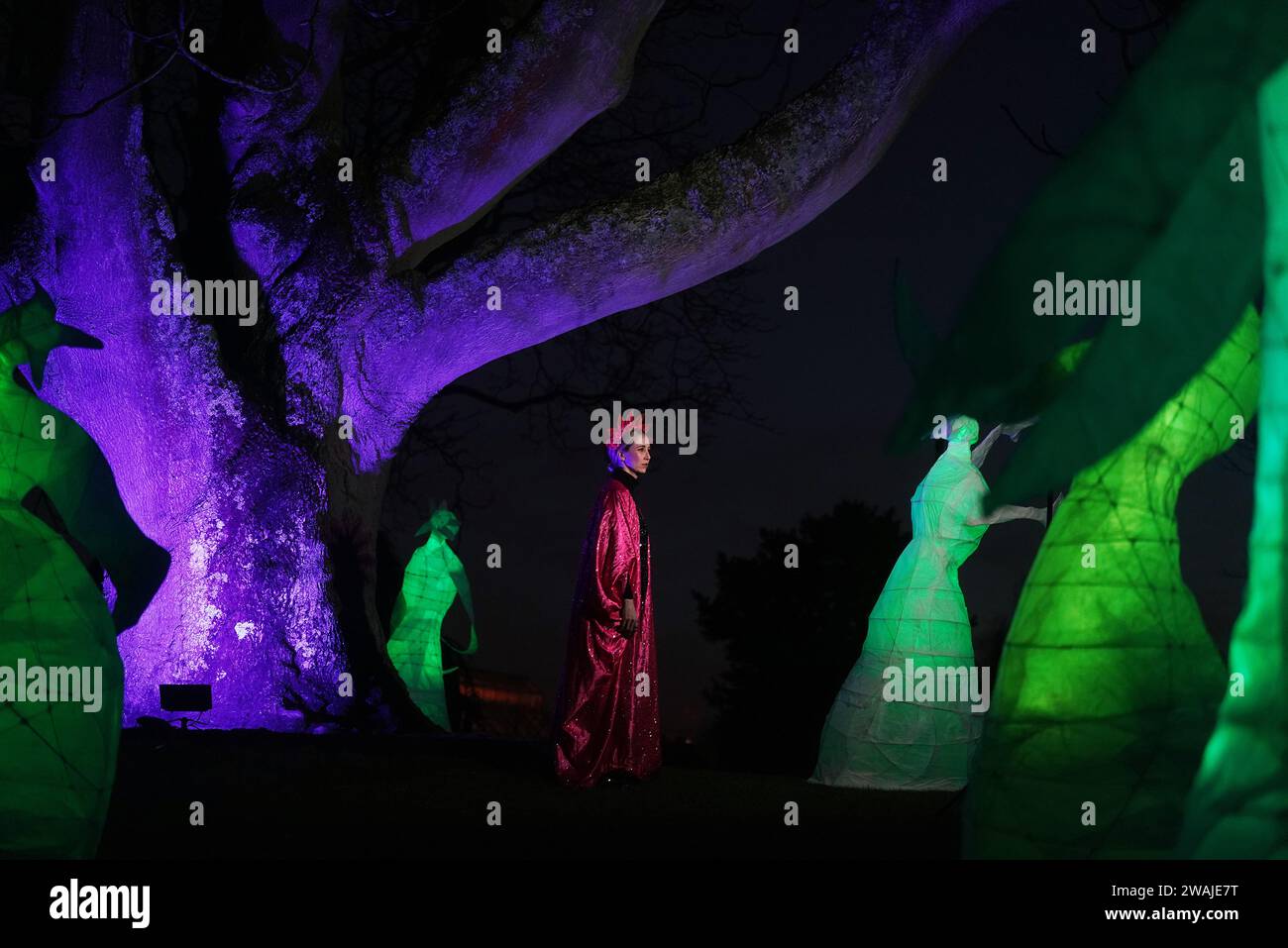 Louisa Ni Eideain, writer and performer of 'Dopa-Mean Girl' which is ...