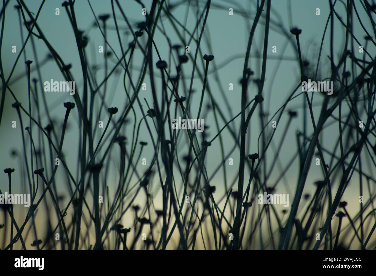 Photography of planet earth hi-res stock photography and images - Alamy