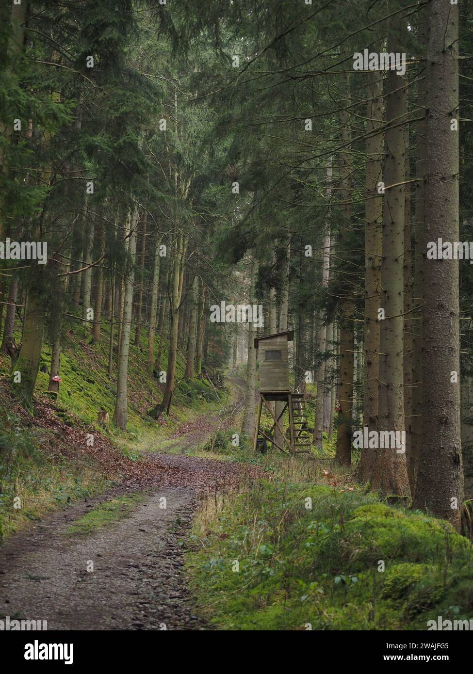 Blackforest germany hi-res stock photography and images - Alamy