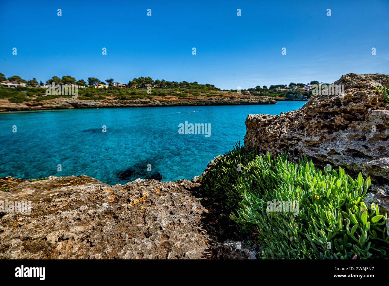 Catedral de santa maria de palma de mallorca interior hi-res stock ...