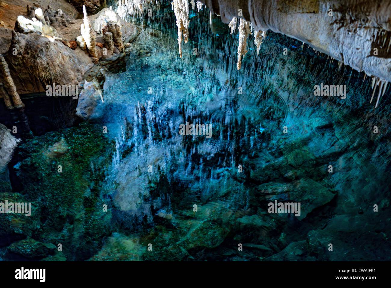 Catedral de santa maria de palma de mallorca interior hi-res stock ...