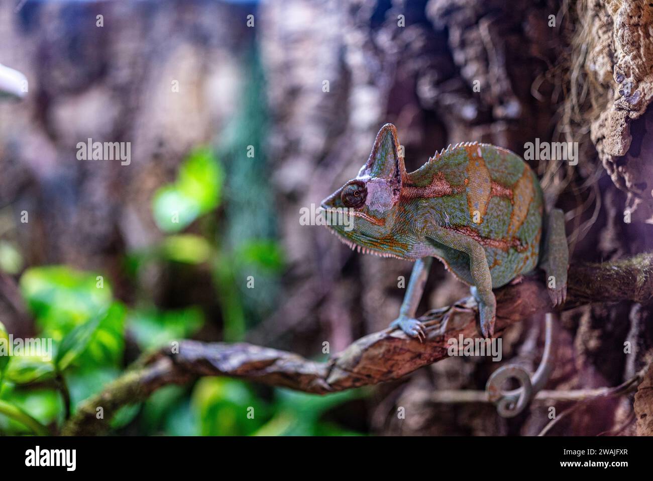 Cuevas de mallorca hi-res stock photography and images - Alamy