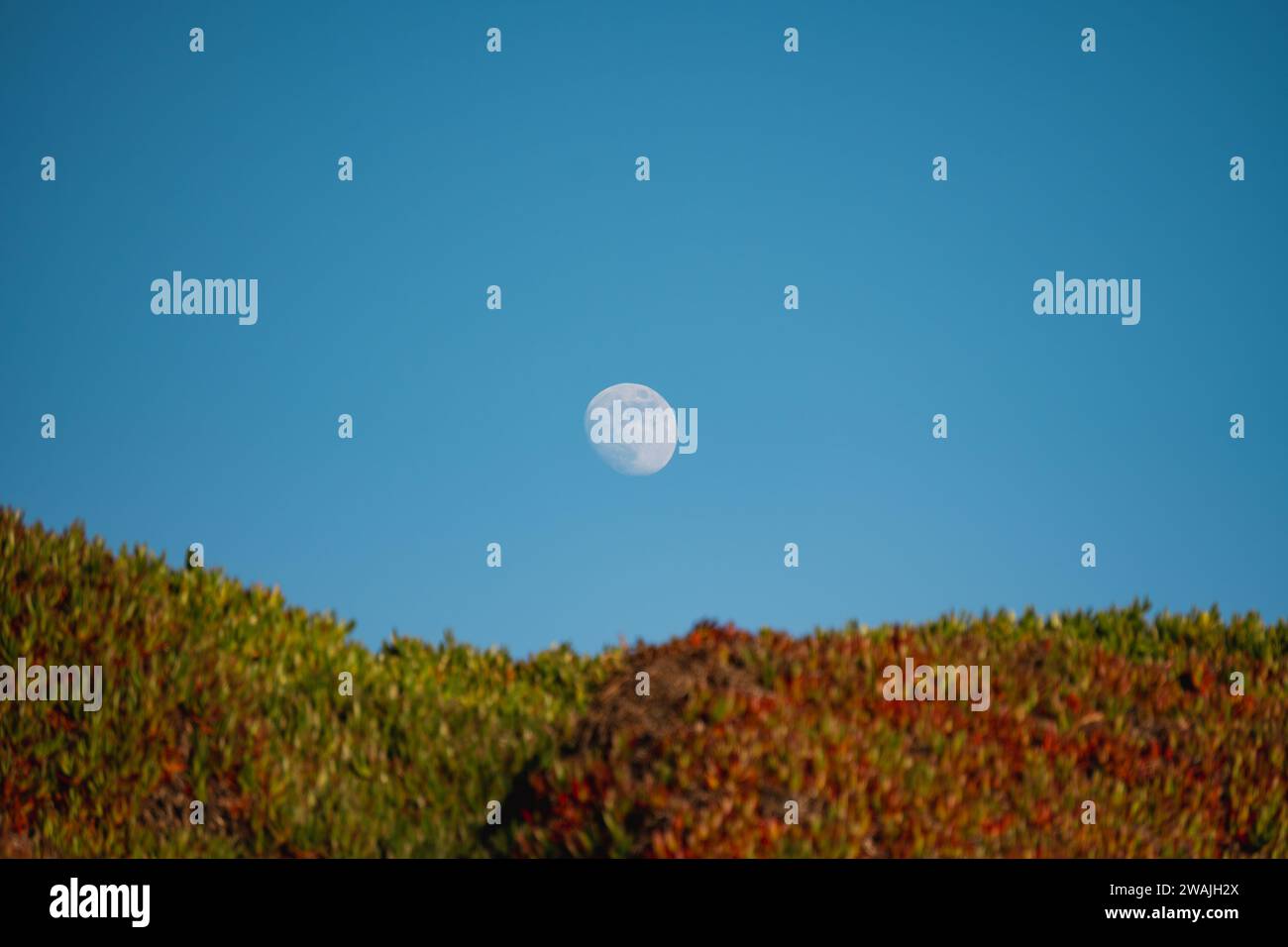 Hillside moonlit silhouette hi-res stock photography and images - Alamy