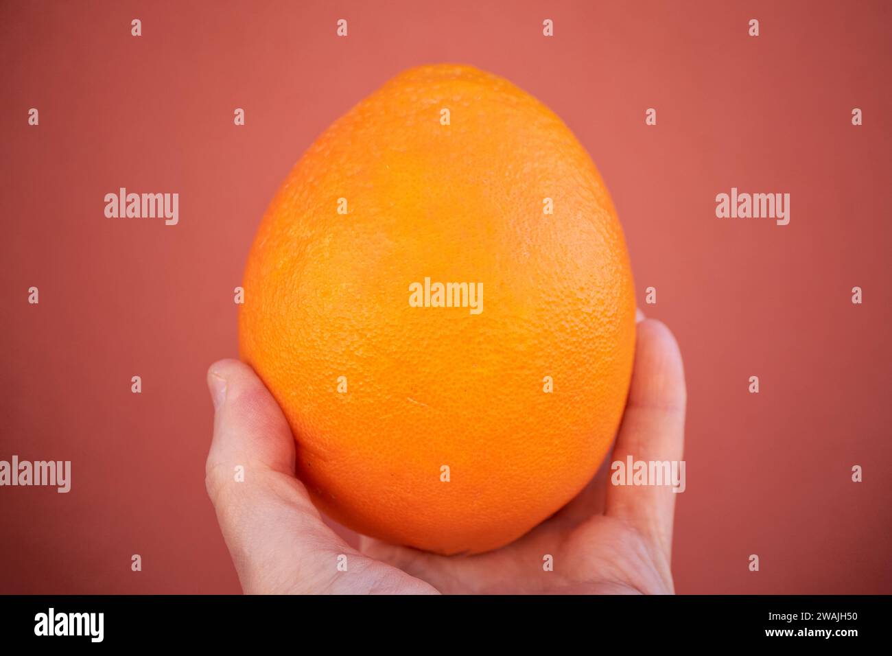 A huge orange loaded with vitamin C Stock Photo - Alamy