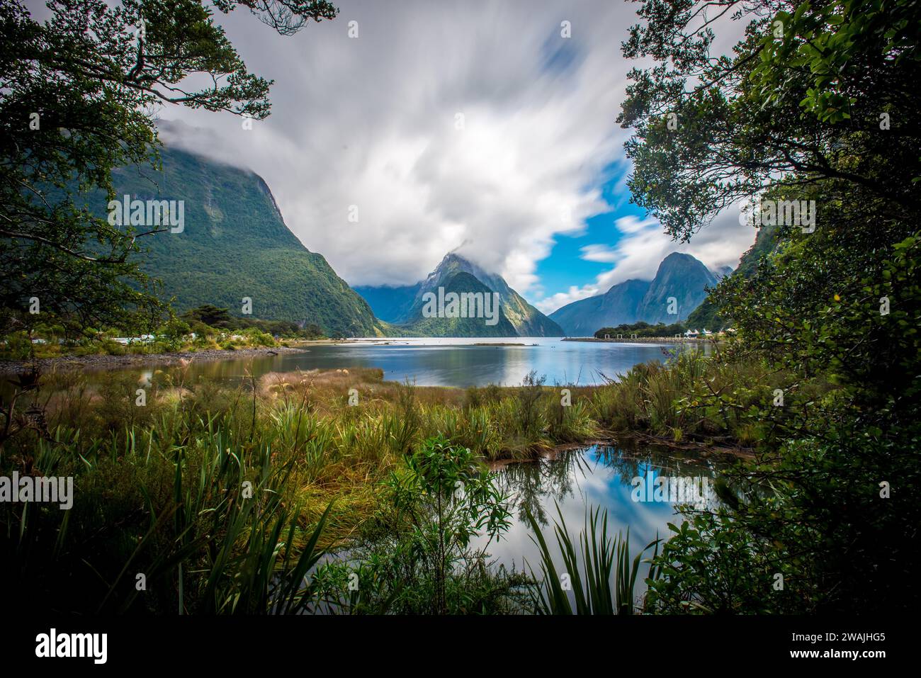 Long exposure photo of milford sound fjords with trees Stock Photo - Alamy