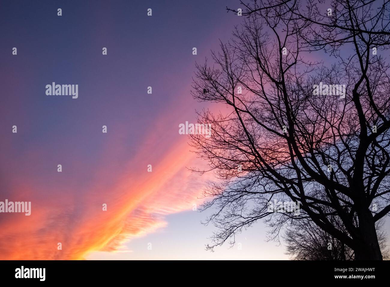 Poetic patterns hi-res stock photography and images - Alamy