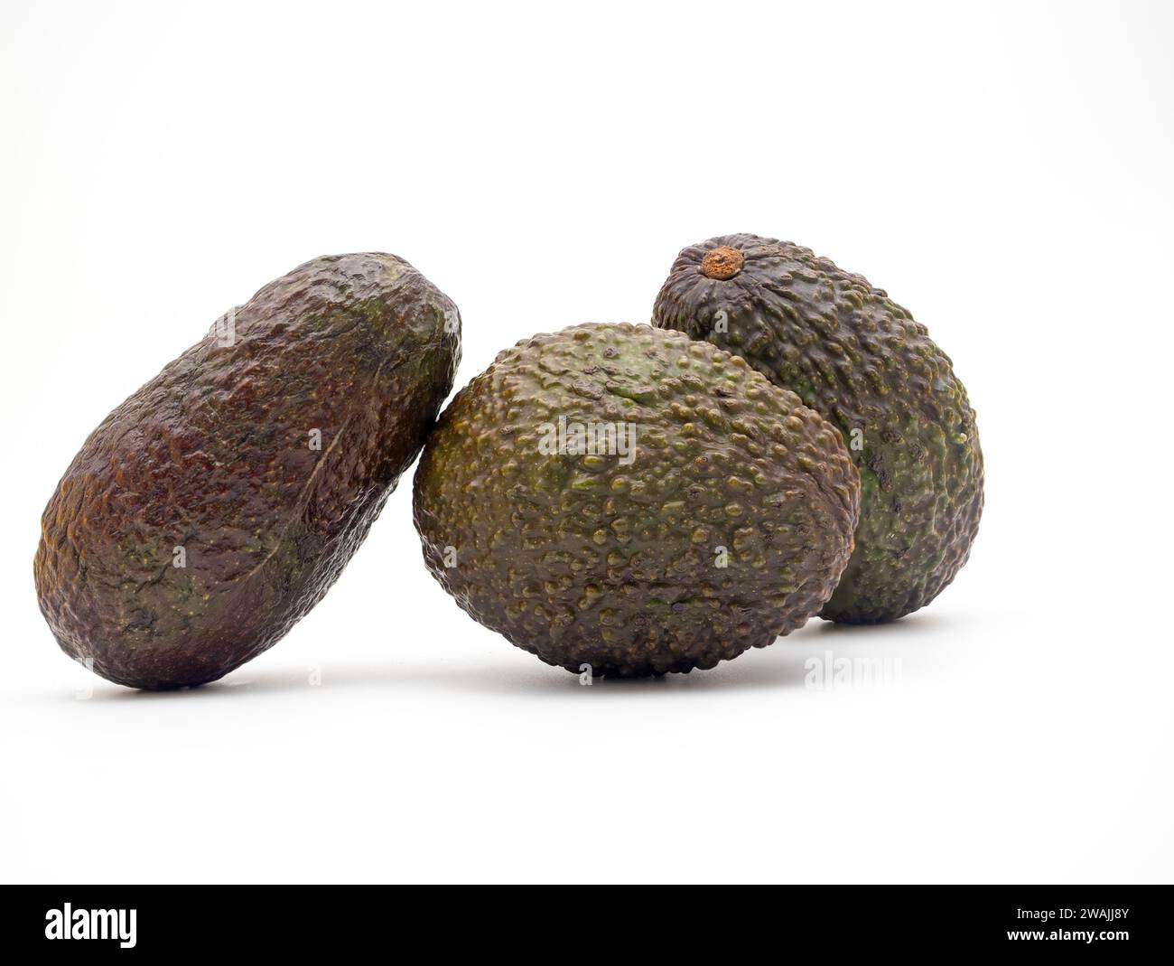 ripe whole unpeeled raw Avocado fruits isolated on a white background ...