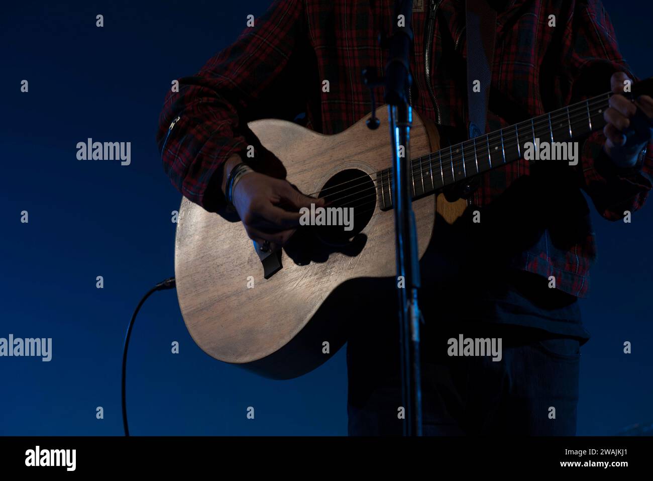 playing the guitar, a stringed instrument, musical instrument in art ...
