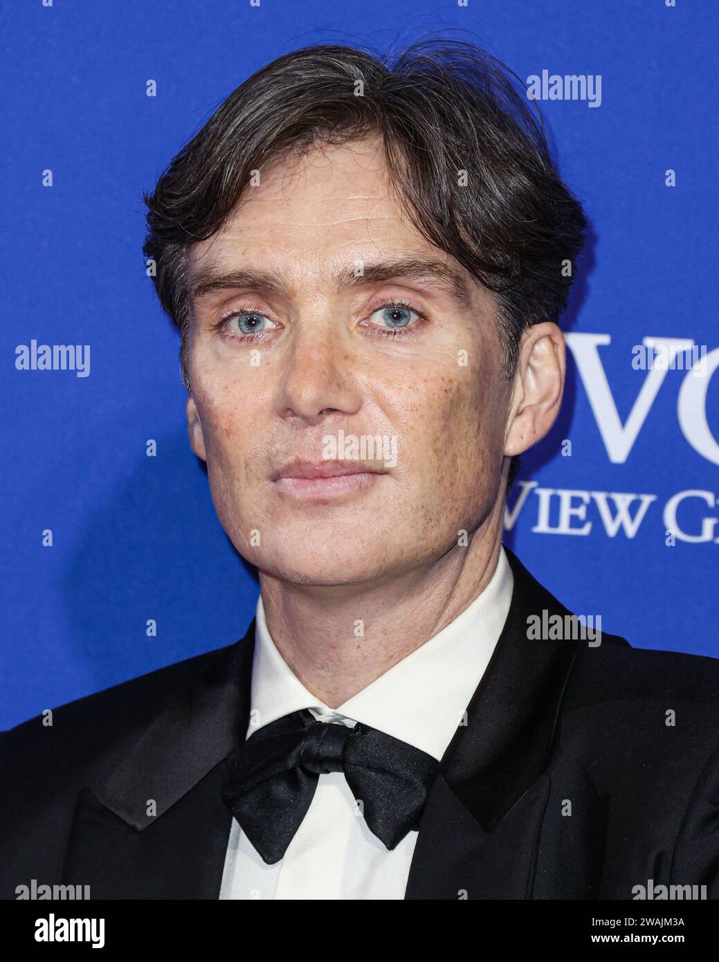 Palm Springs, United States. 04th Jan, 2024. PALM SPRINGS, RIVERSIDE ...