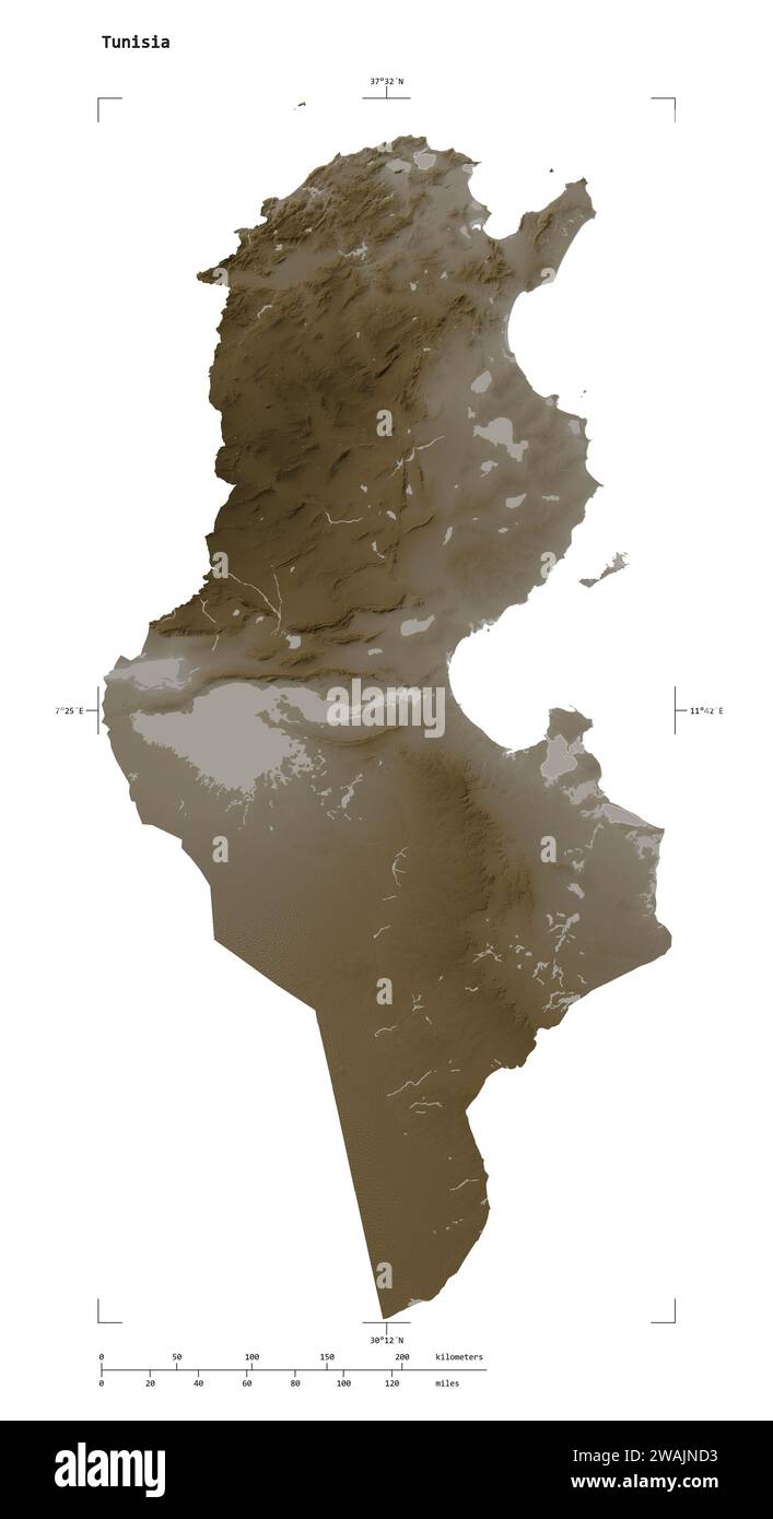 Shape of a elevation map colored in sepia tones with lakes and rivers ...